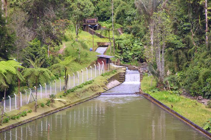 Río Blanco: turismo natural con bosque de niebla y avifauna - Eje21