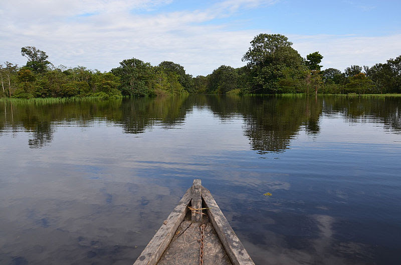 Arranca expedición para conocer la biodiversidad de la Amazonía ...