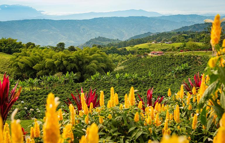 Turismo rural en el oriente de Caldas busca consolidarse como eje de ...