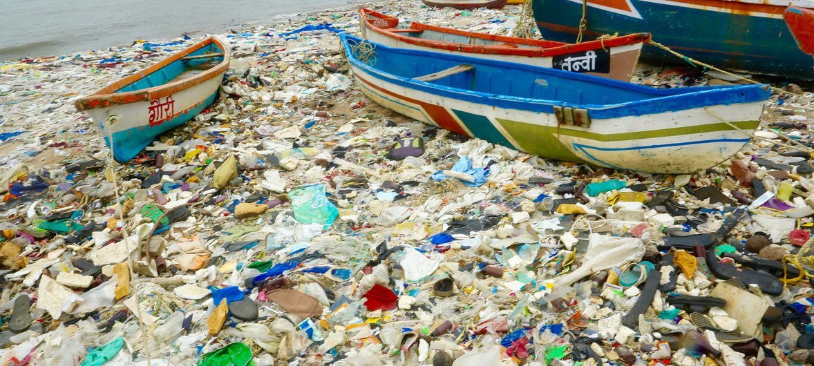 Para el año 2050 habrá más plástico en el mar que peces - Eje21